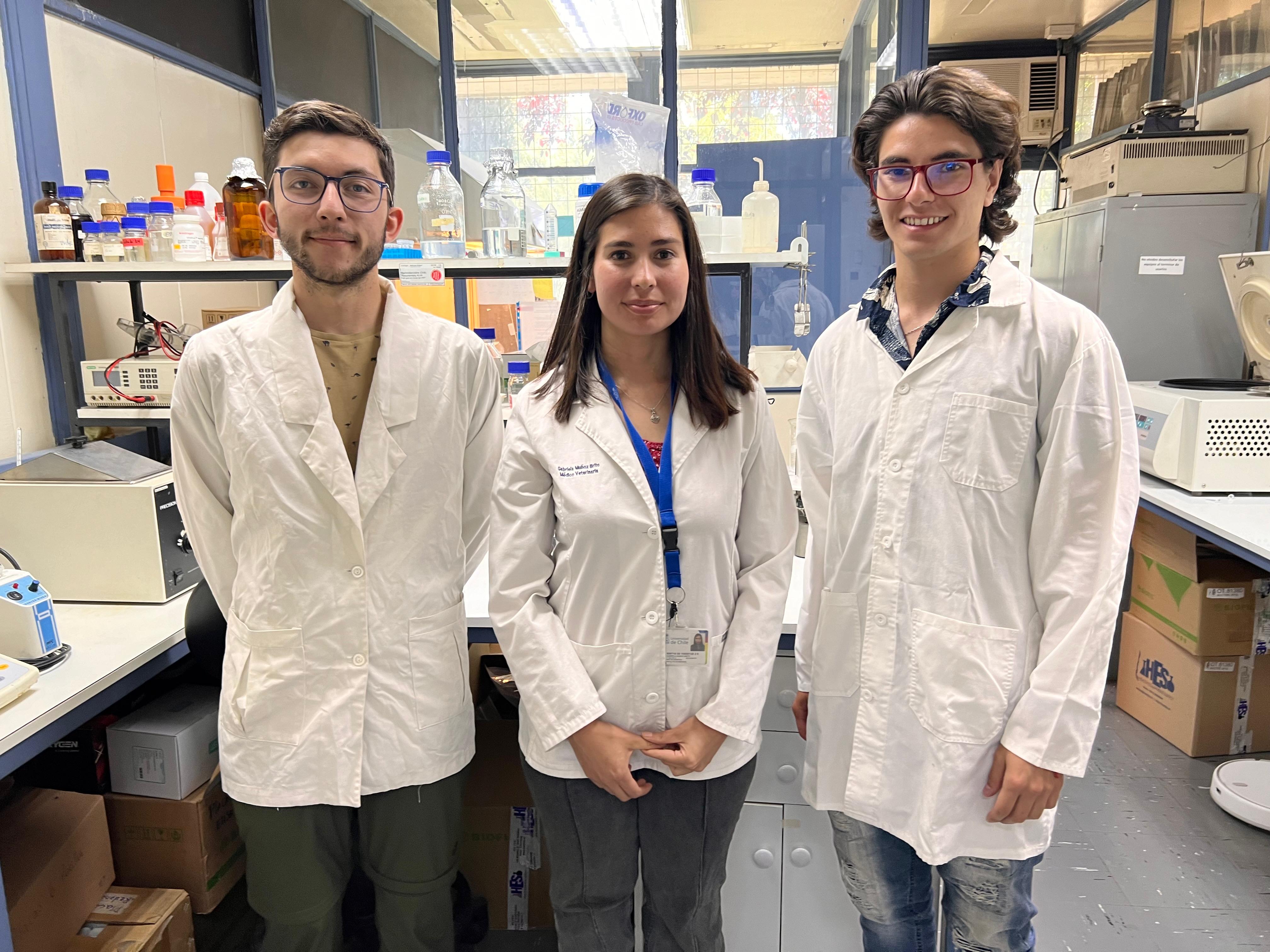 Estudiantes de Pregrado viajarán a la Antártica para participar de ...