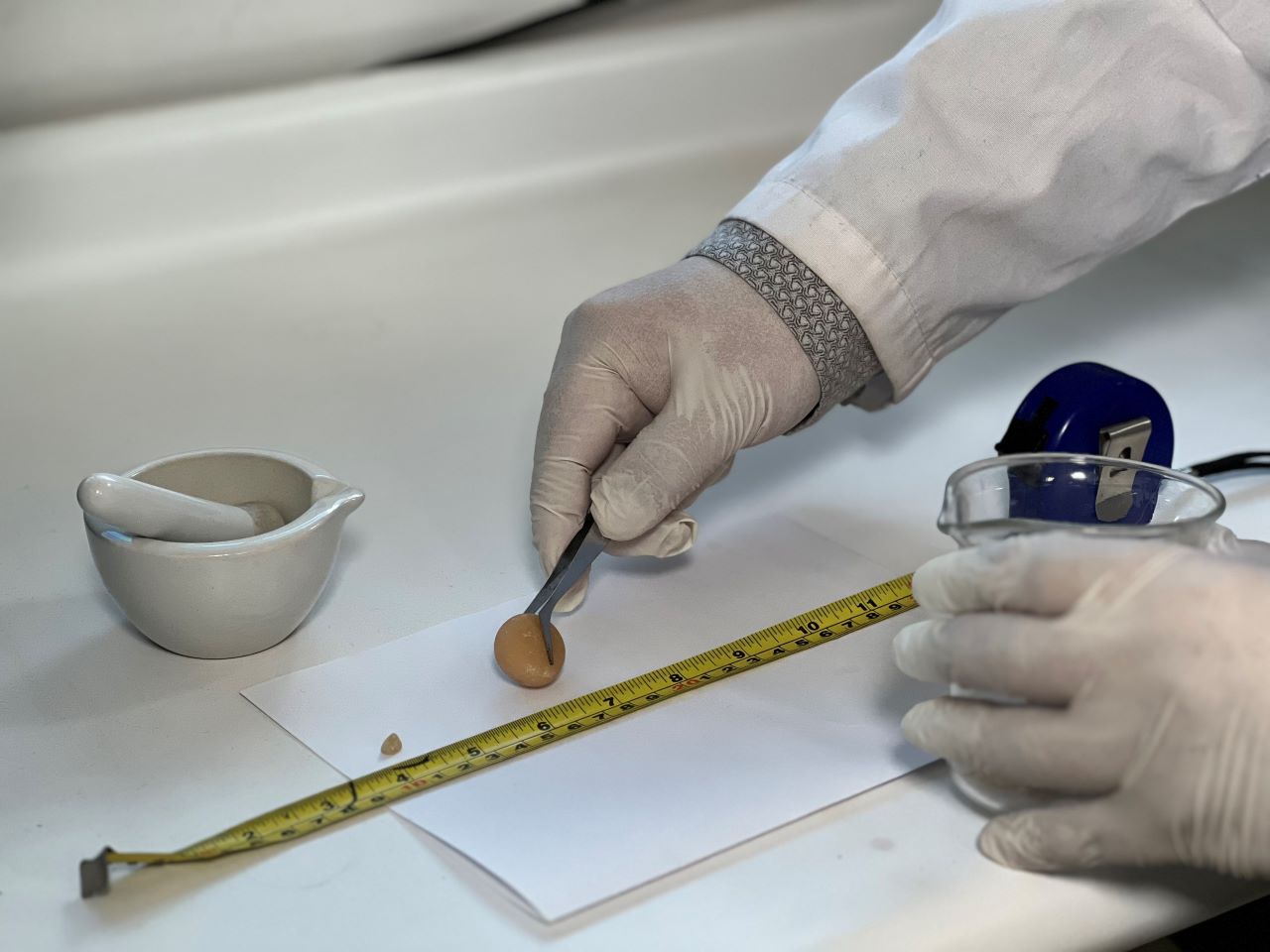 Laboratorio Polyforms - Facultad de Ciencias Veterinarias y Pecuarias ...