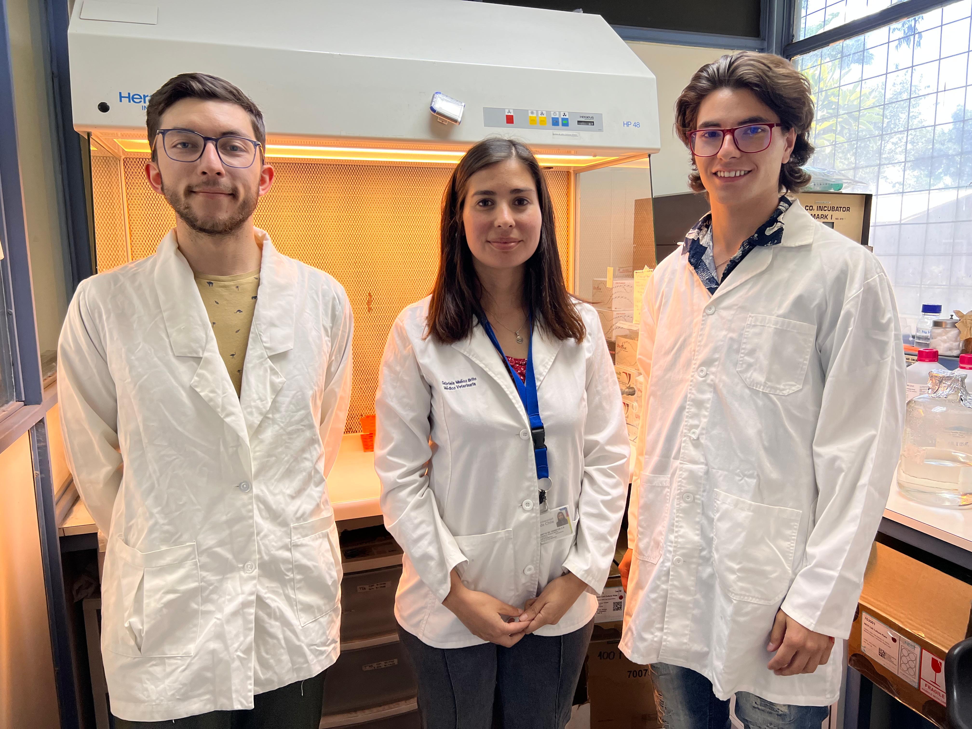 Estudiantes de Pregrado viajarán a la Antártica para participar de ...